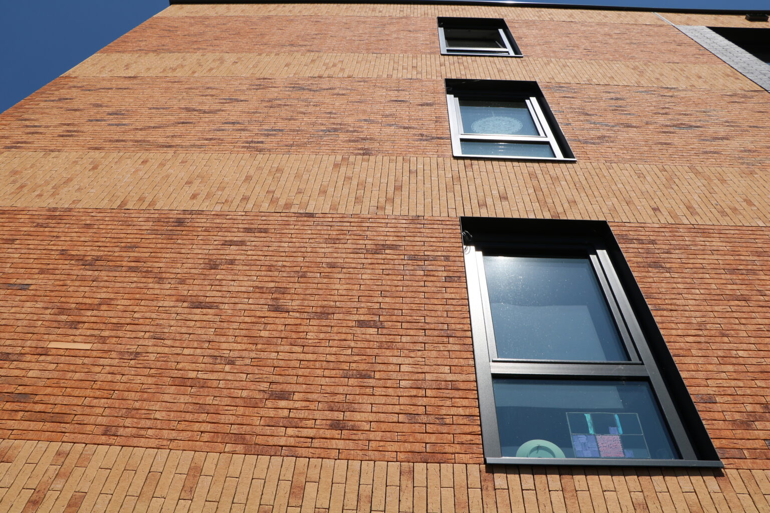 Dynamic Bond – Dynamic Bonding Systems