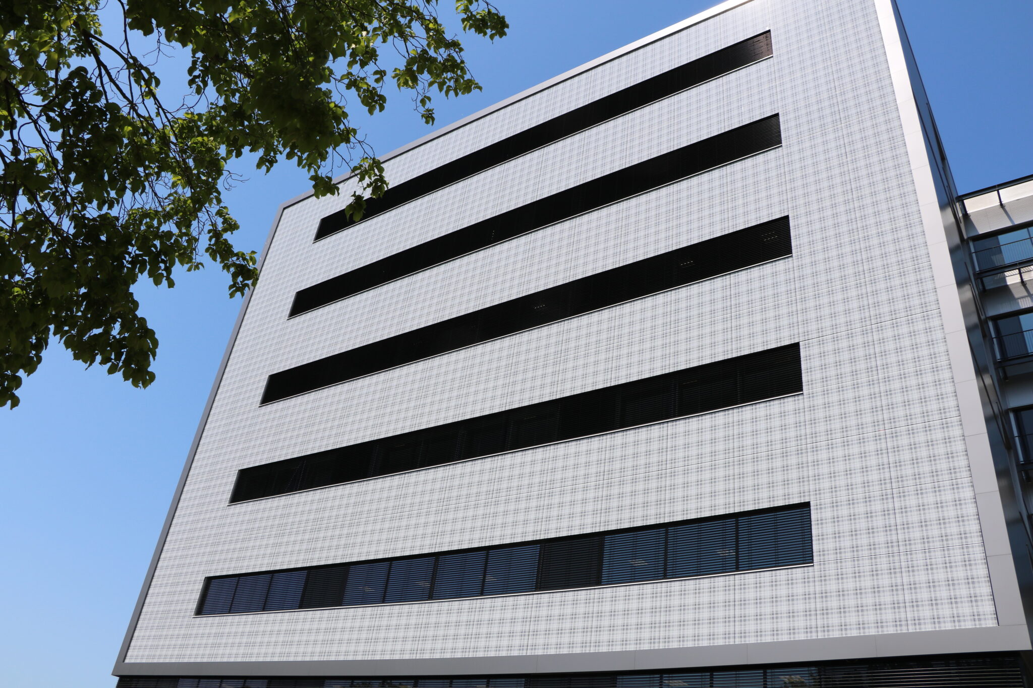 Dynamic Bond – Dynamic Bonding Systems